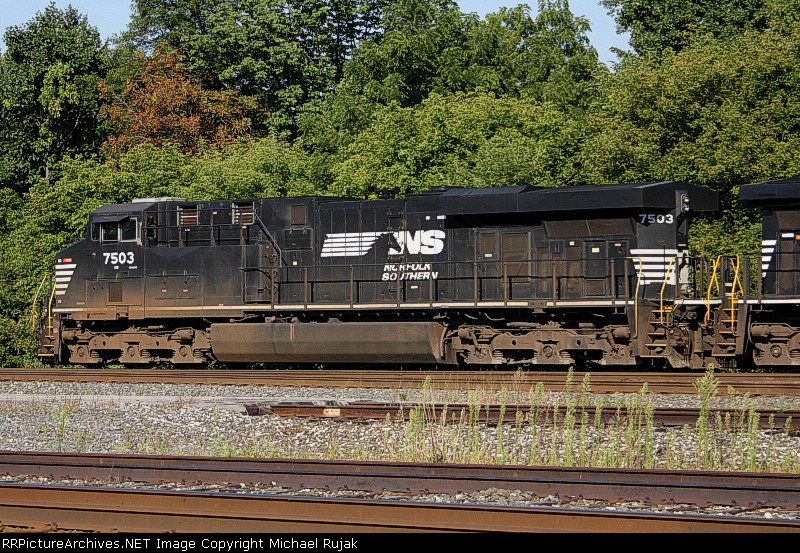 NS 7503